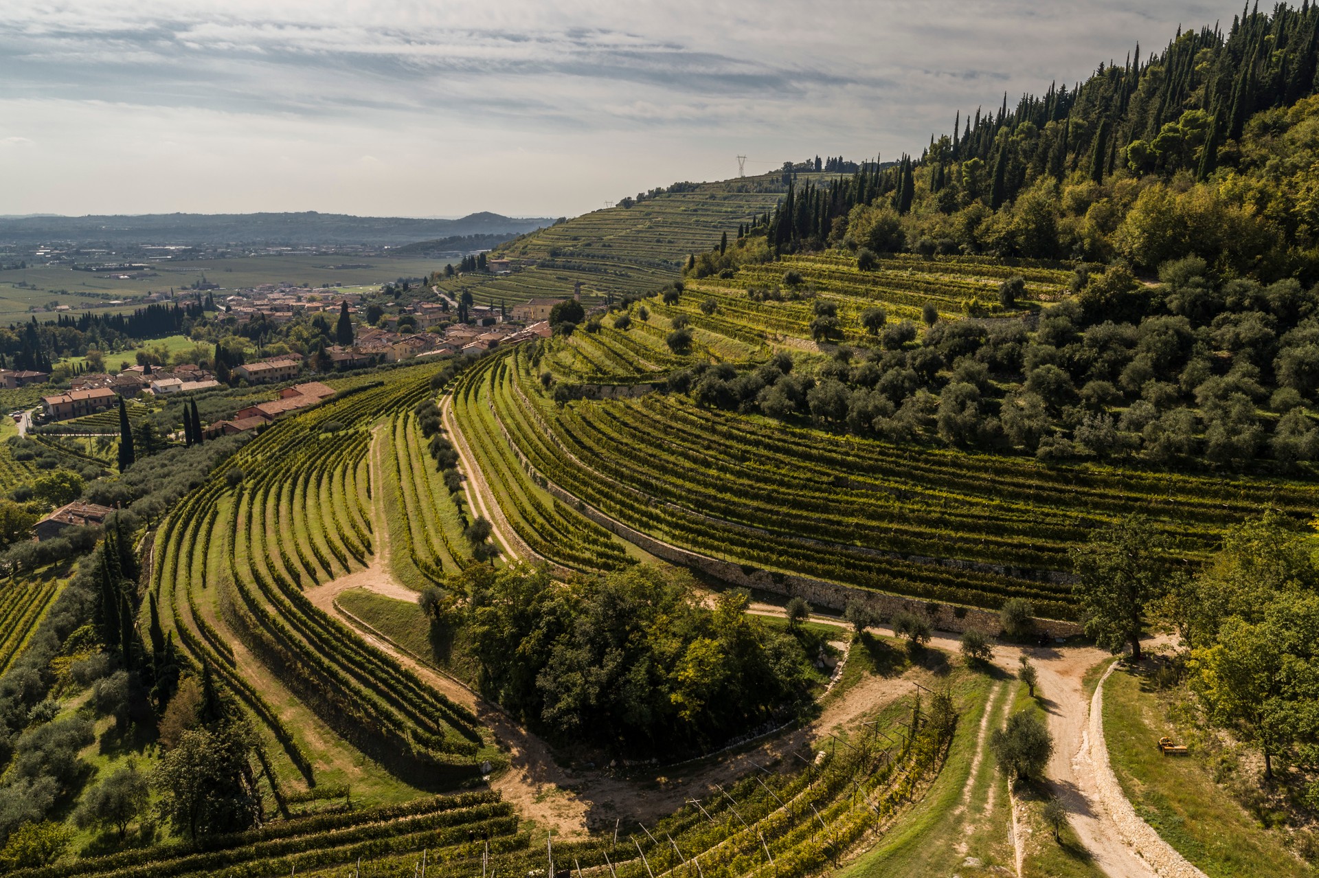 MASI | Masi Group | About us | Masi