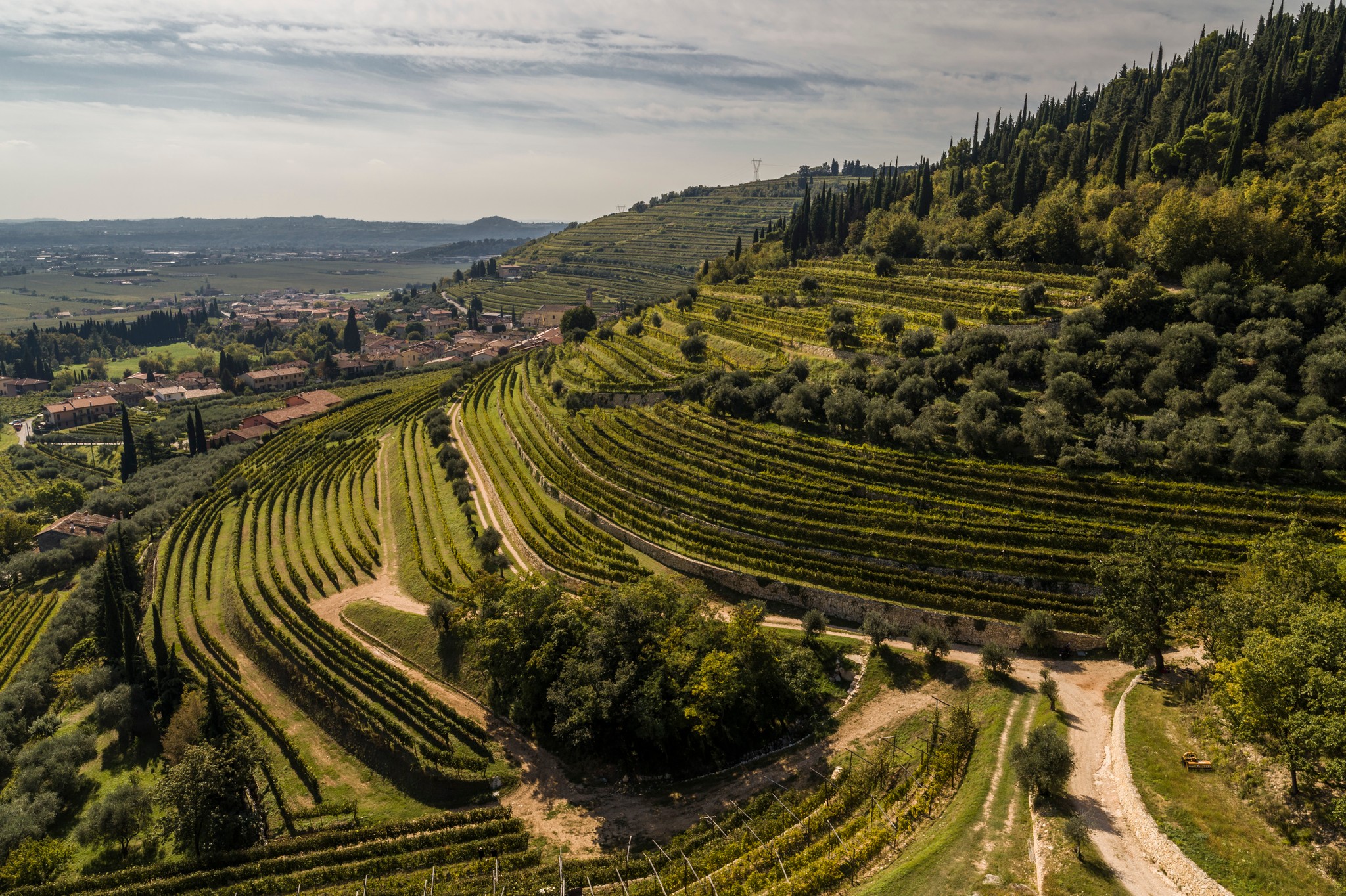 MASI | Masi Group | About us | Masi