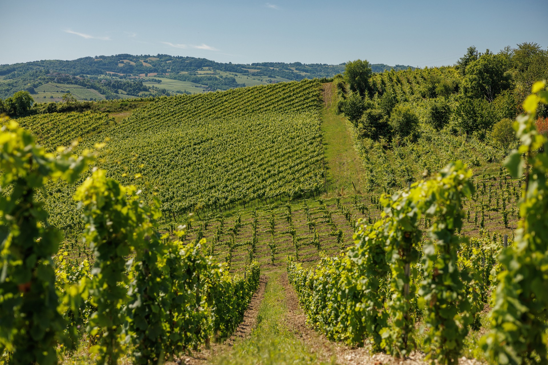 MASI | Masi Group | About us | Masi