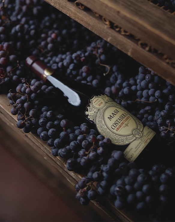 MASI | Wine | Costasera Amarone della Valpolicella Classico DOCG - Amarone and Recioto ...