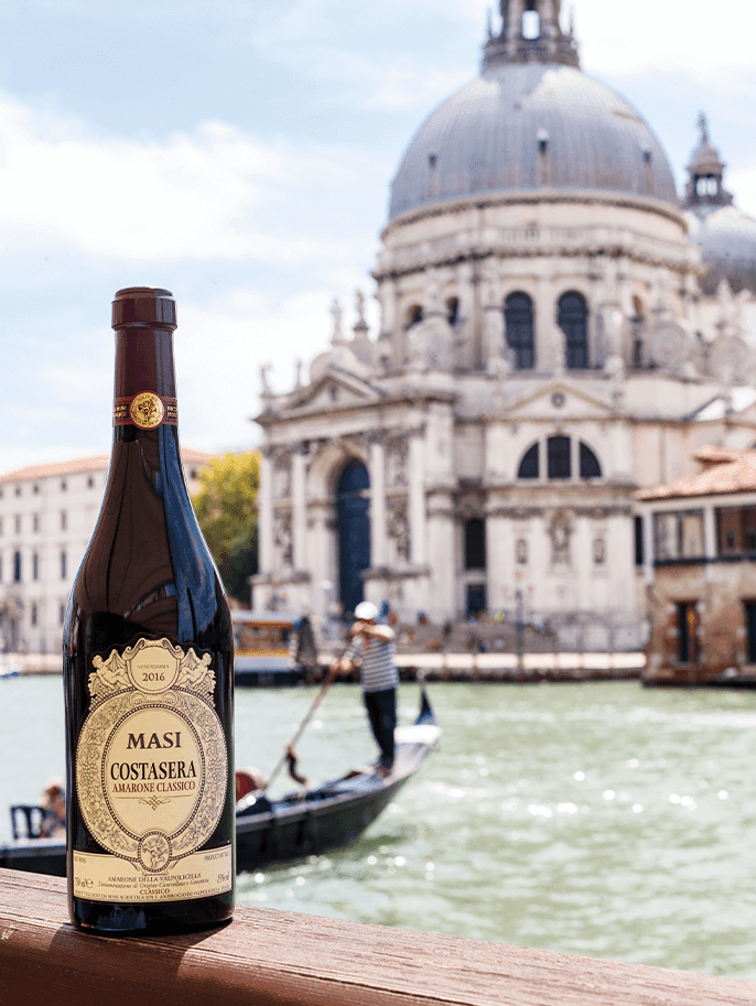 MASI | Masi Group | About us | Masi