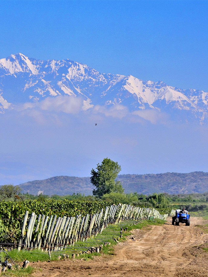 MASI | Organic wine | Passo Doble Corvina Malbec Red Wine - Appassimento wines,Medium-body reds ...