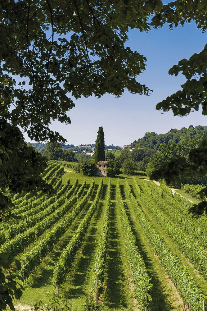 MASI | Wine cellar and winery in Valpolicella Classica | Masi