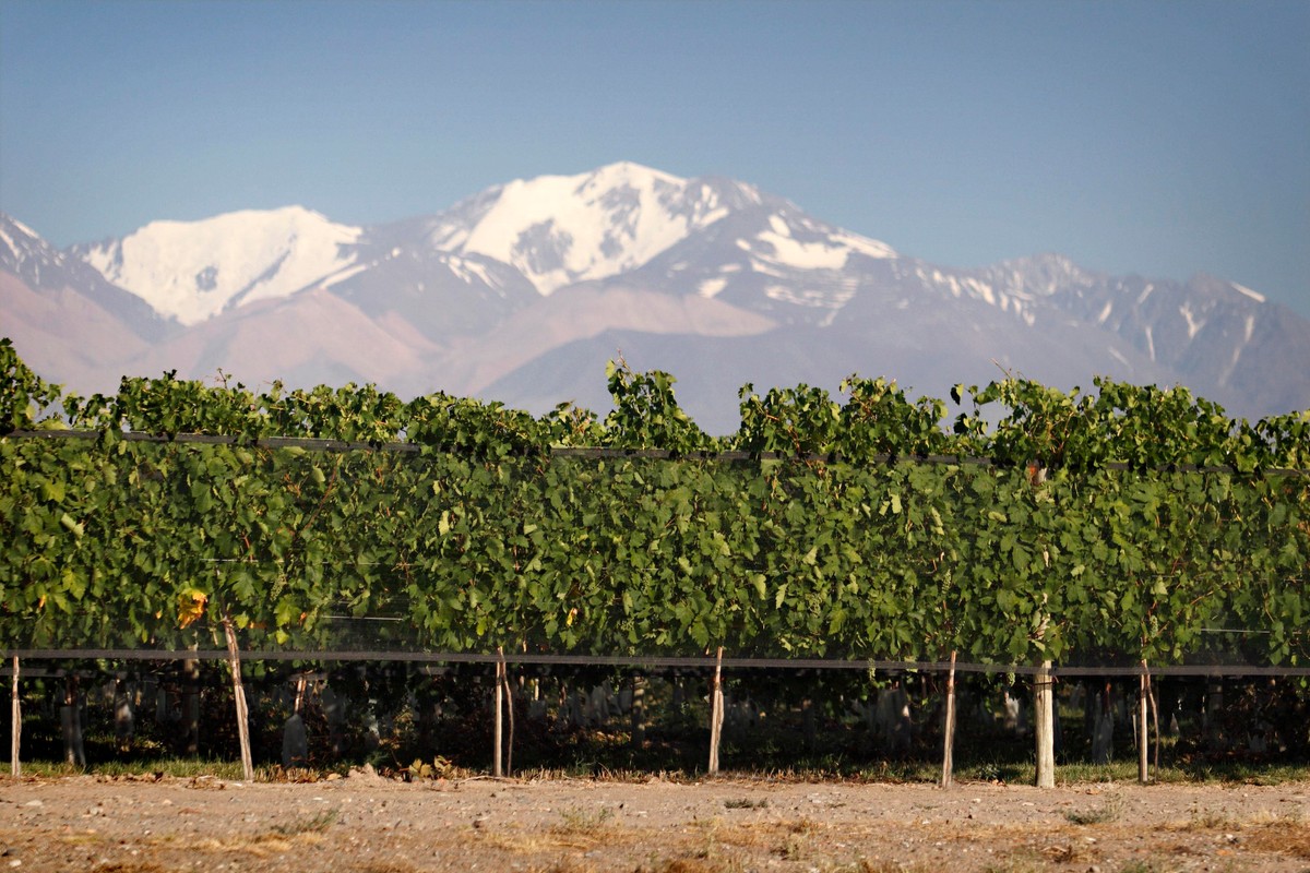 MASI | Masi Group | About us | Masi