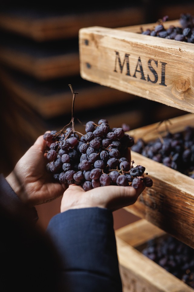 MASI | Appassimento Technique | Masi