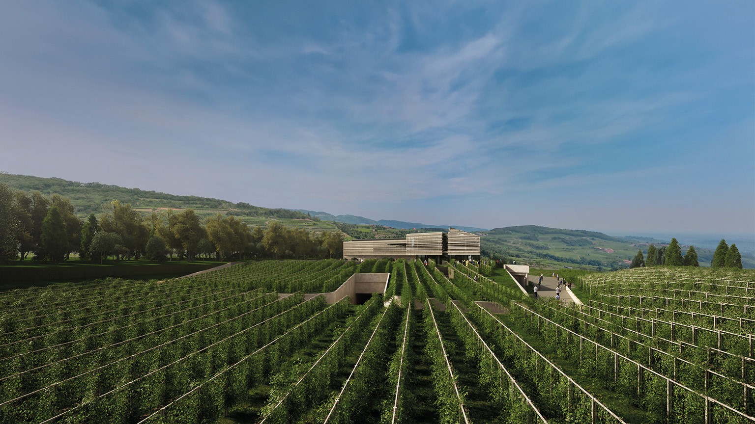MASI | Wine cellar and winery in Valpolicella Classica | Masi