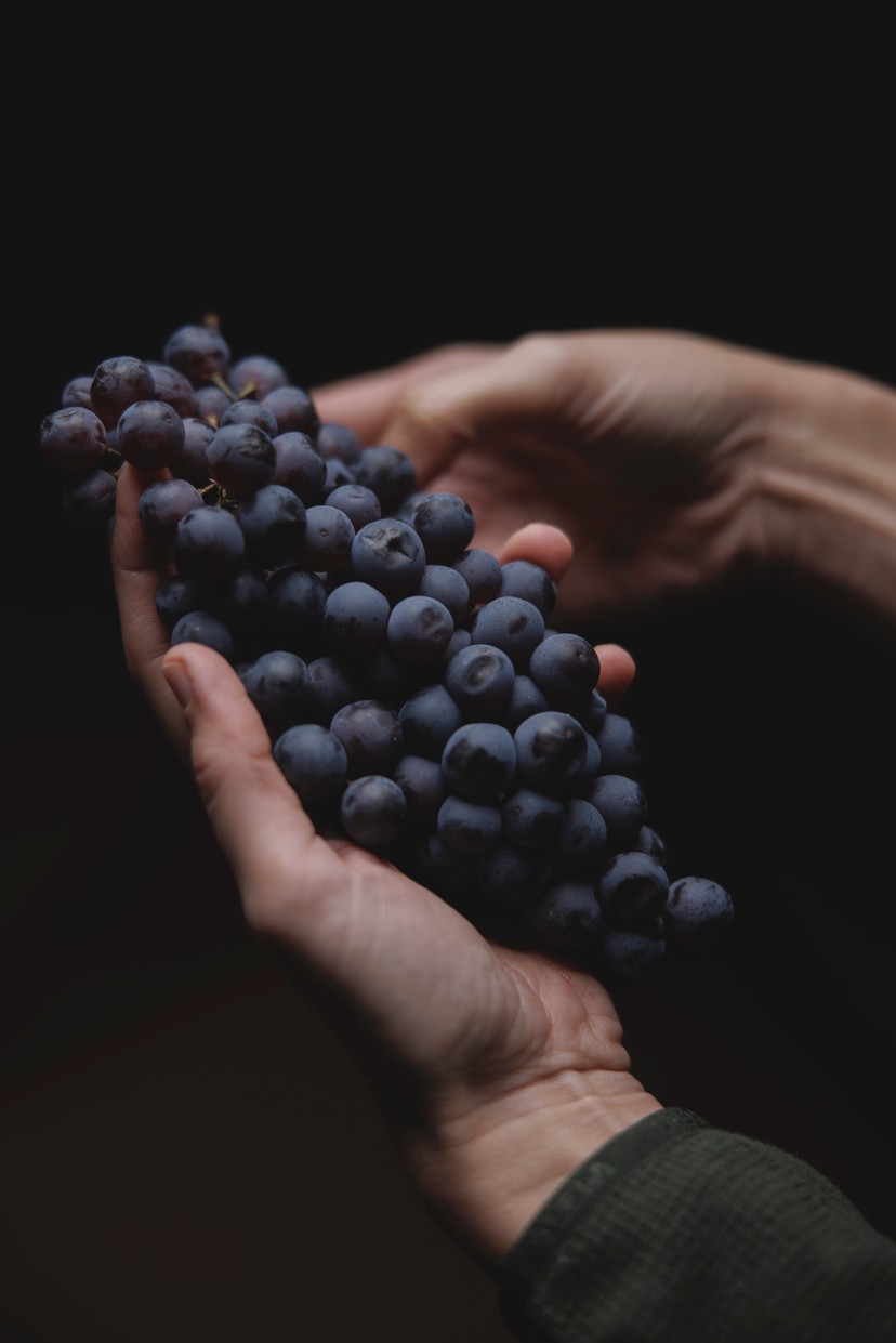 MASI | Appassimento Technique | Masi