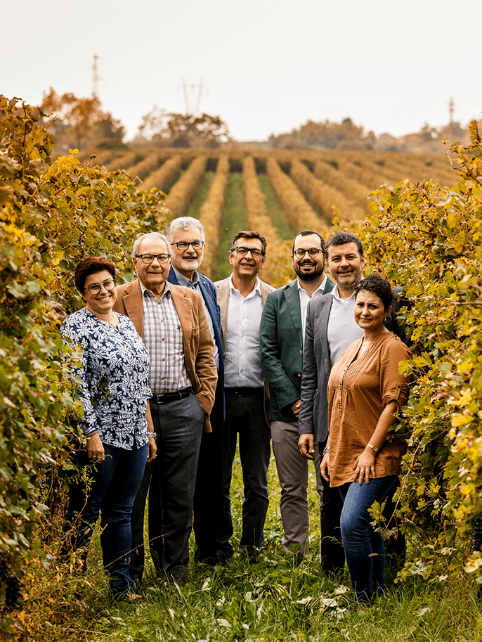 MASI | Masi Group | About us | Masi