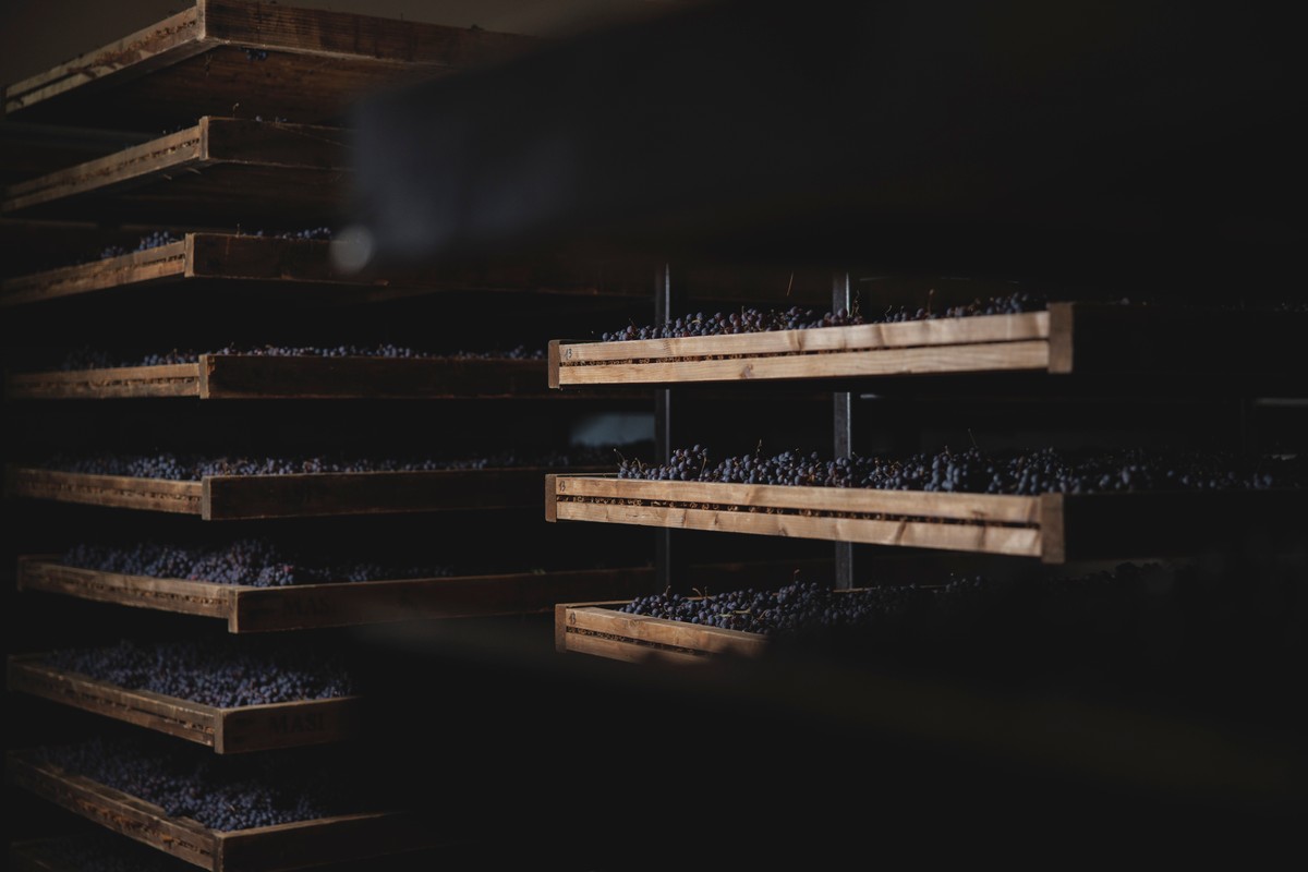 MASI | Appassimento Technique | Masi