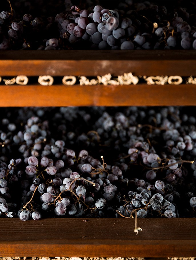 MASI | Appassimento Technique | Masi