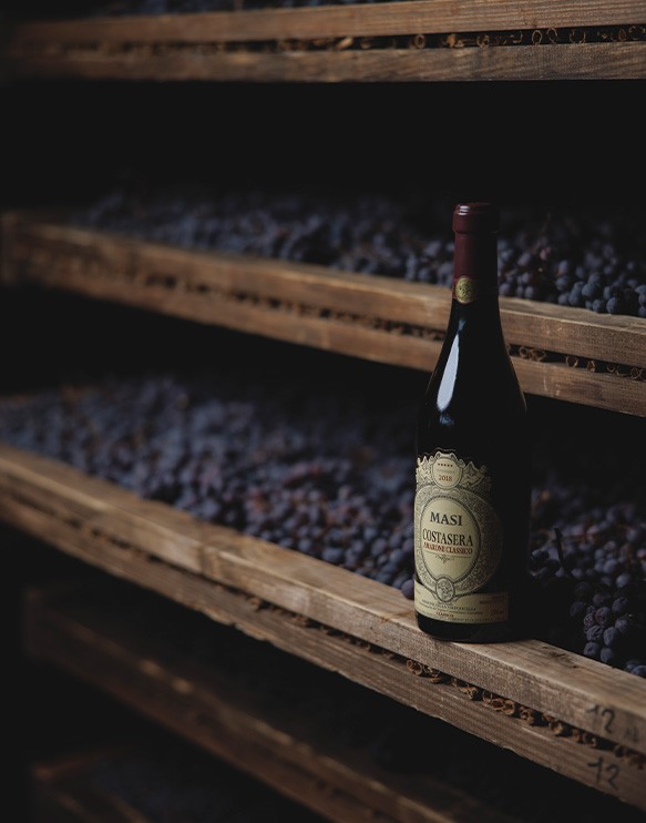 MASI | Wine | Costasera Amarone della Valpolicella Classico DOCG - Amarone and Recioto ...