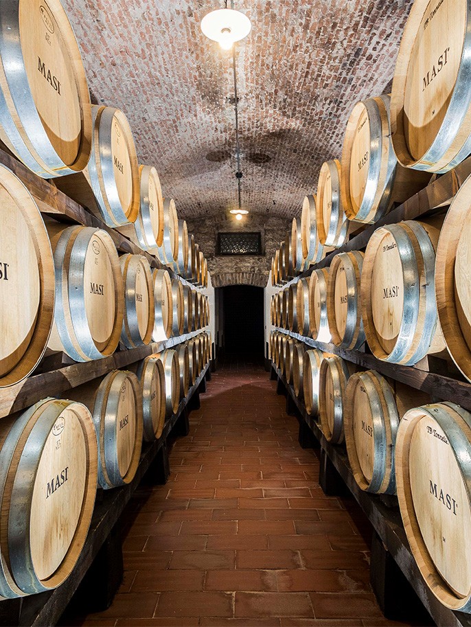 MASI | Cantine Masi in Valpolicella Classica | Masi