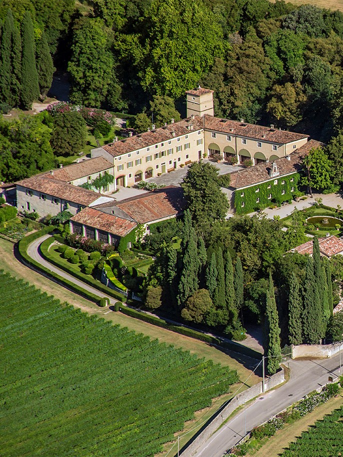 MASI | Wine Experience & Wine Tour | Verona