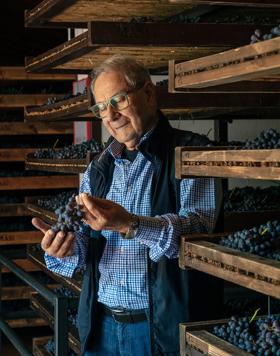 MASI | Masi Winery in Valpolicella Classica | Masi