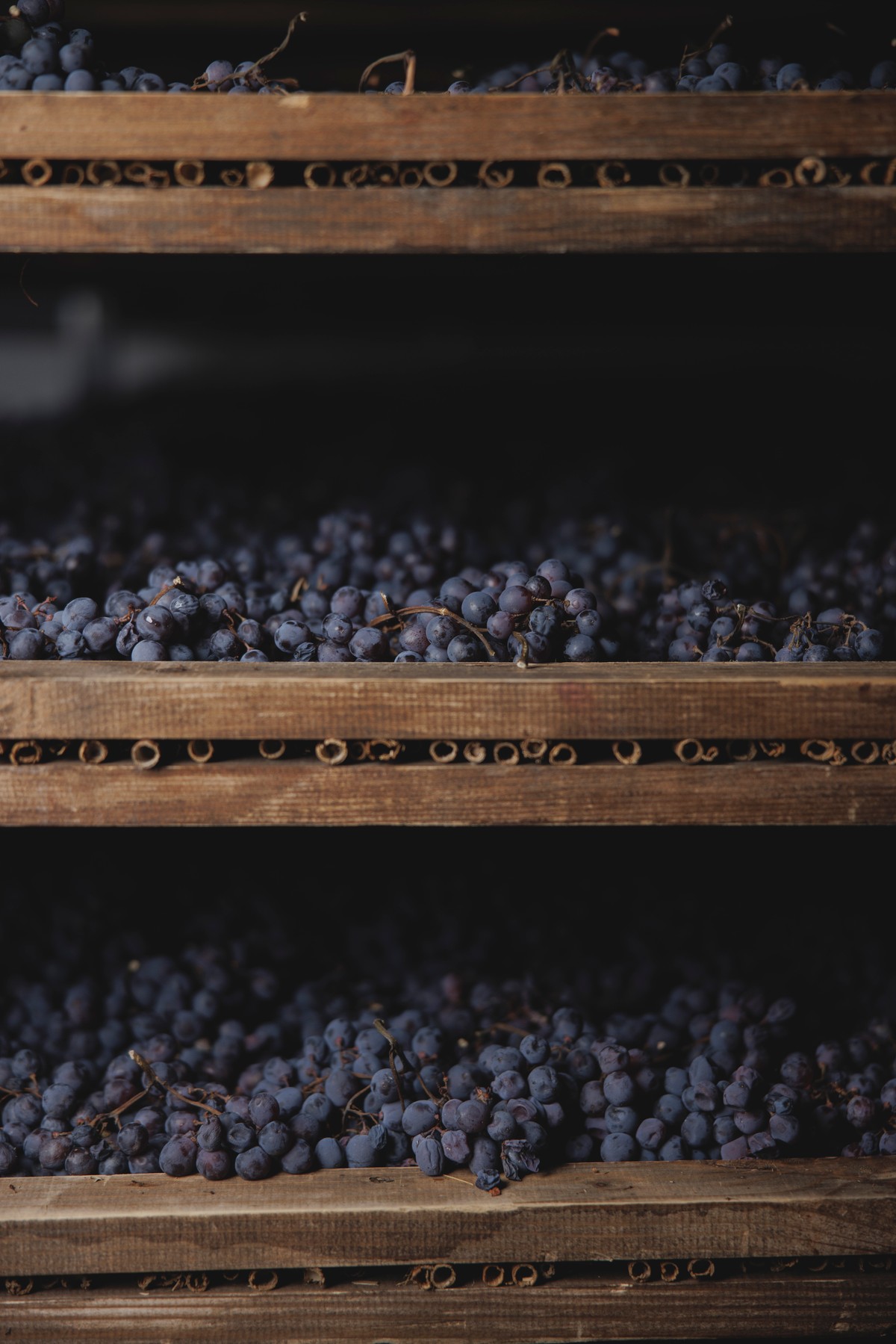 MASI | Appassimento Technique | Masi