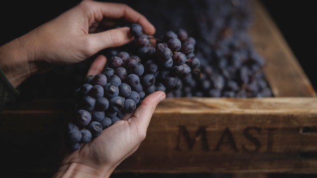 Masi Experience | Cellar tours and tastings | Cantine Masi | Masi