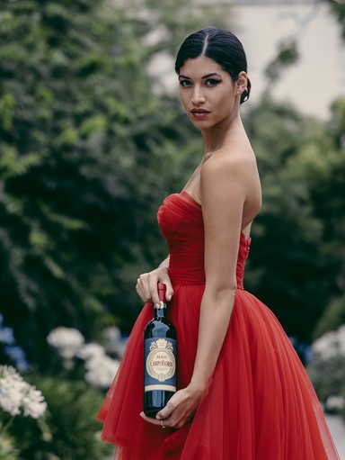 MASI | Cantina e azienda vitivinicola in Valpolicella Classica | Masi