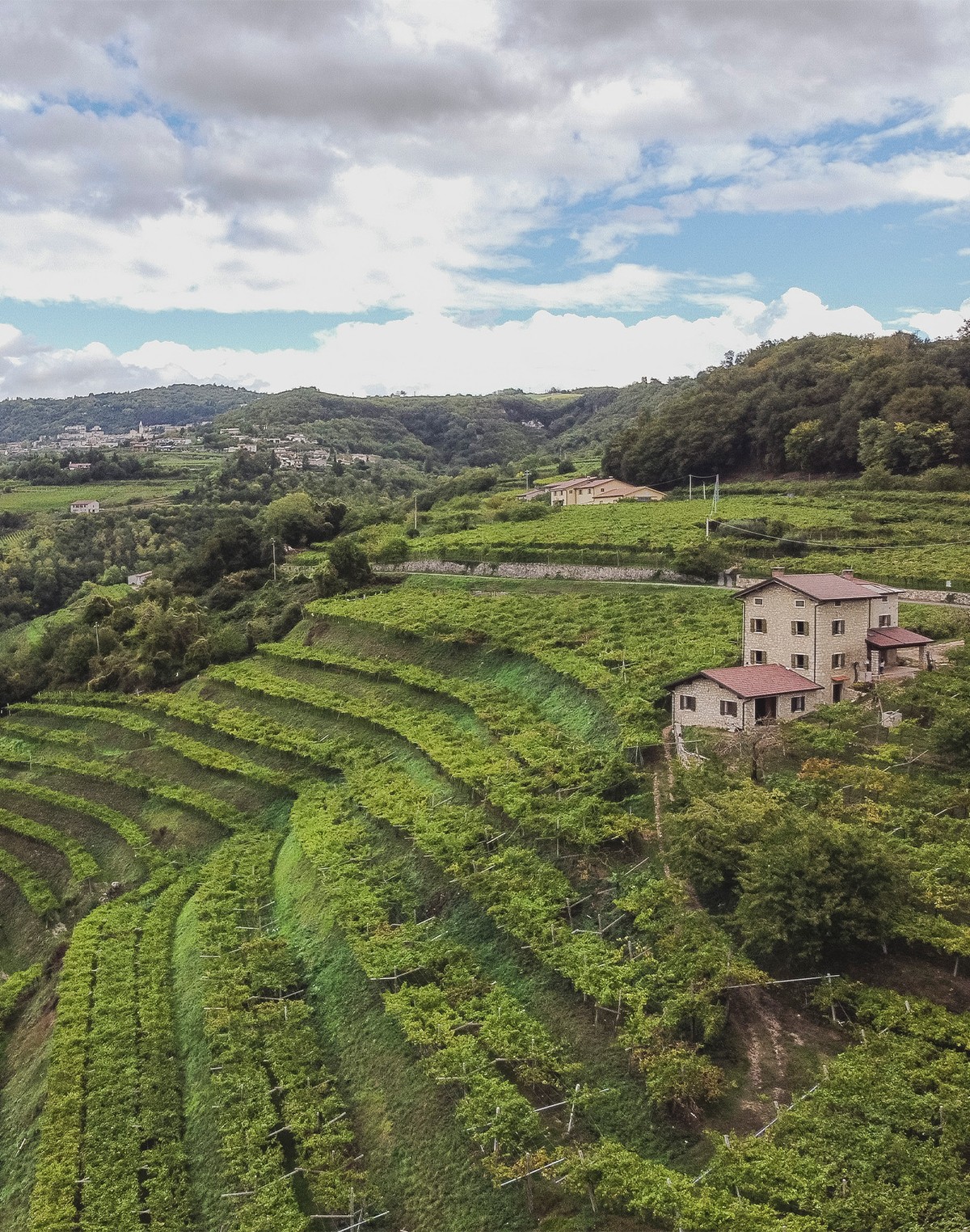 MASI | Wine | Bonacosta Valpolicella Classico DOC - Red Wine - Medium ...
