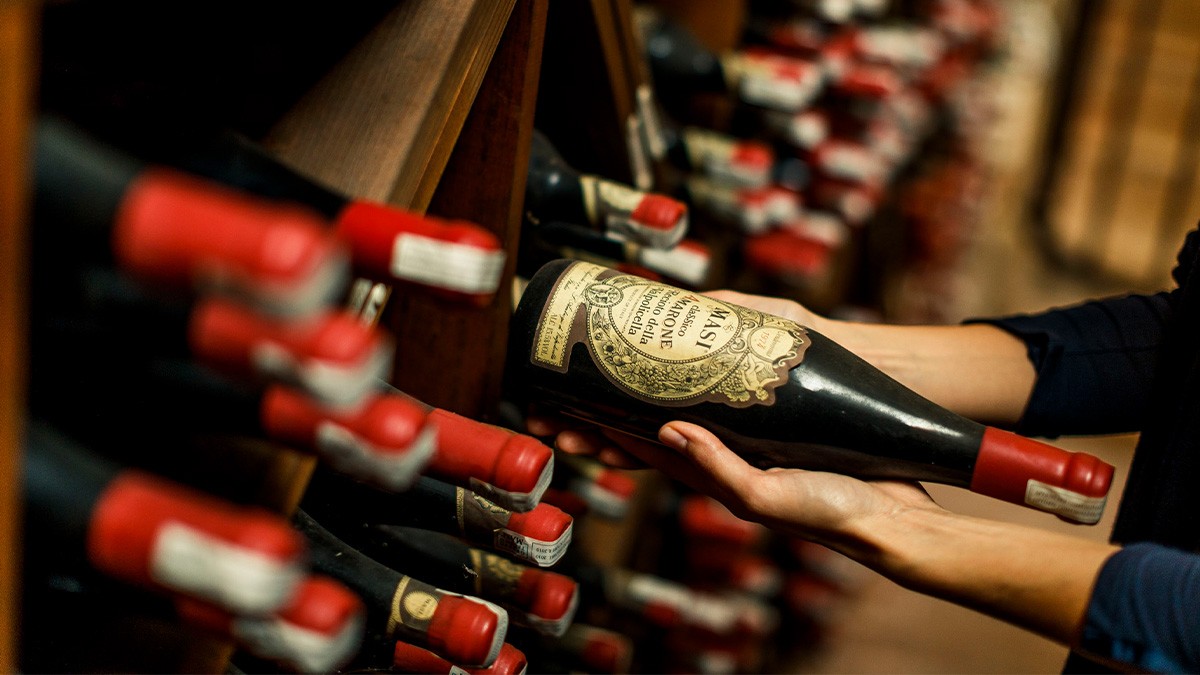 Masi World Experience | Tour in cantina e degustazioni | Monteleone21 ...