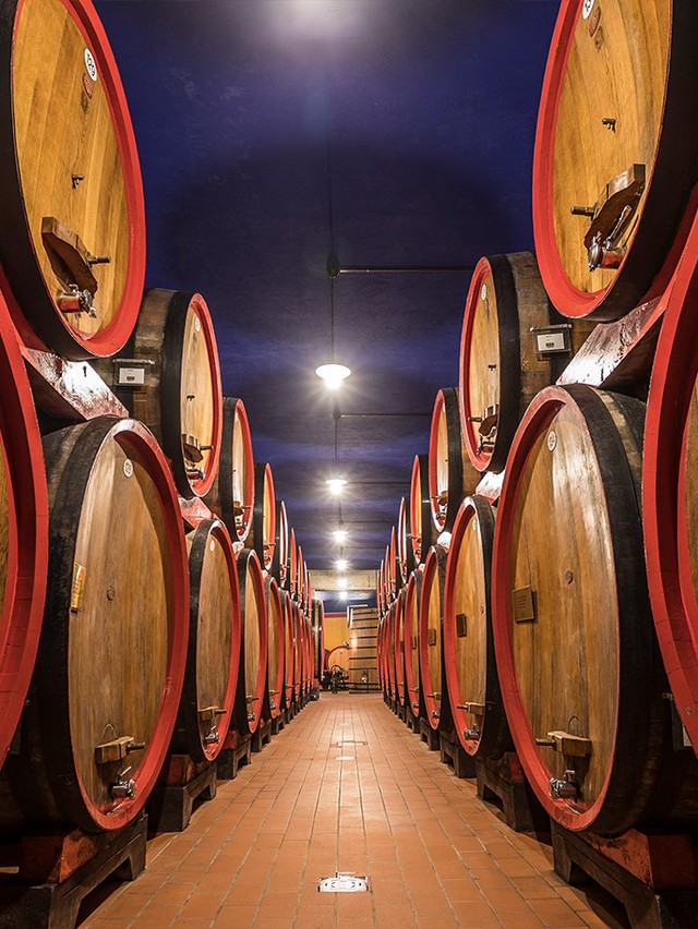 MASI | Masi Winery in Valpolicella Classica | Masi