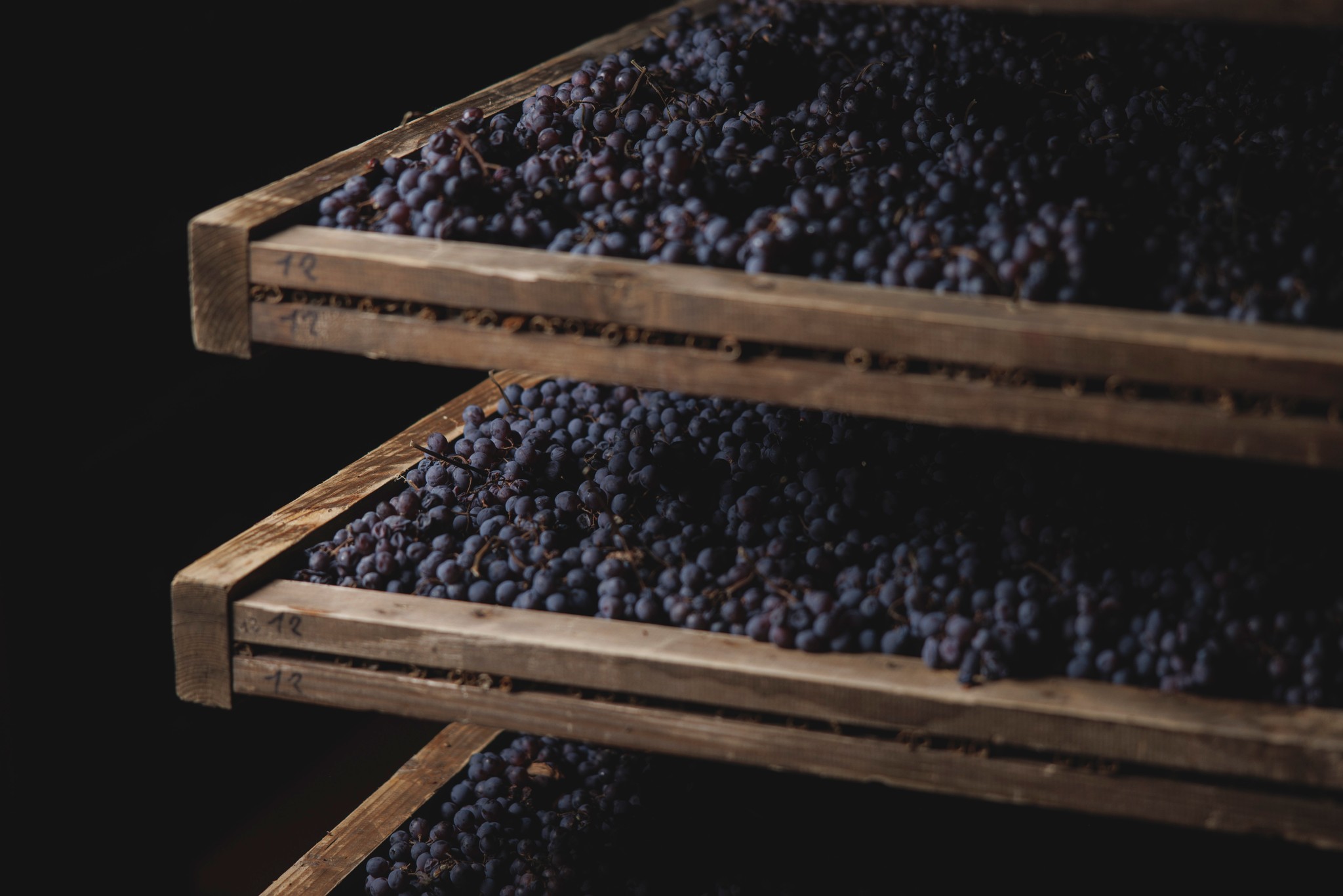 MASI | Appassimento Technique | Masi