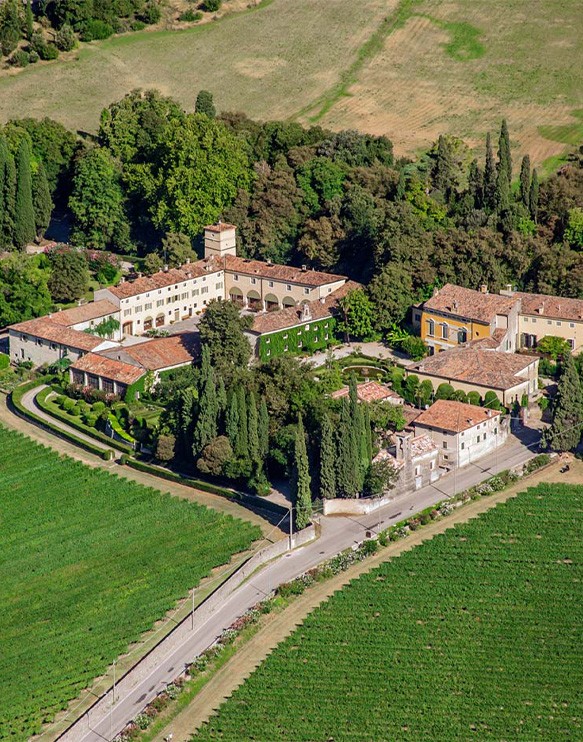 MASI | Gruppo Masi | Chi siamo | Masi