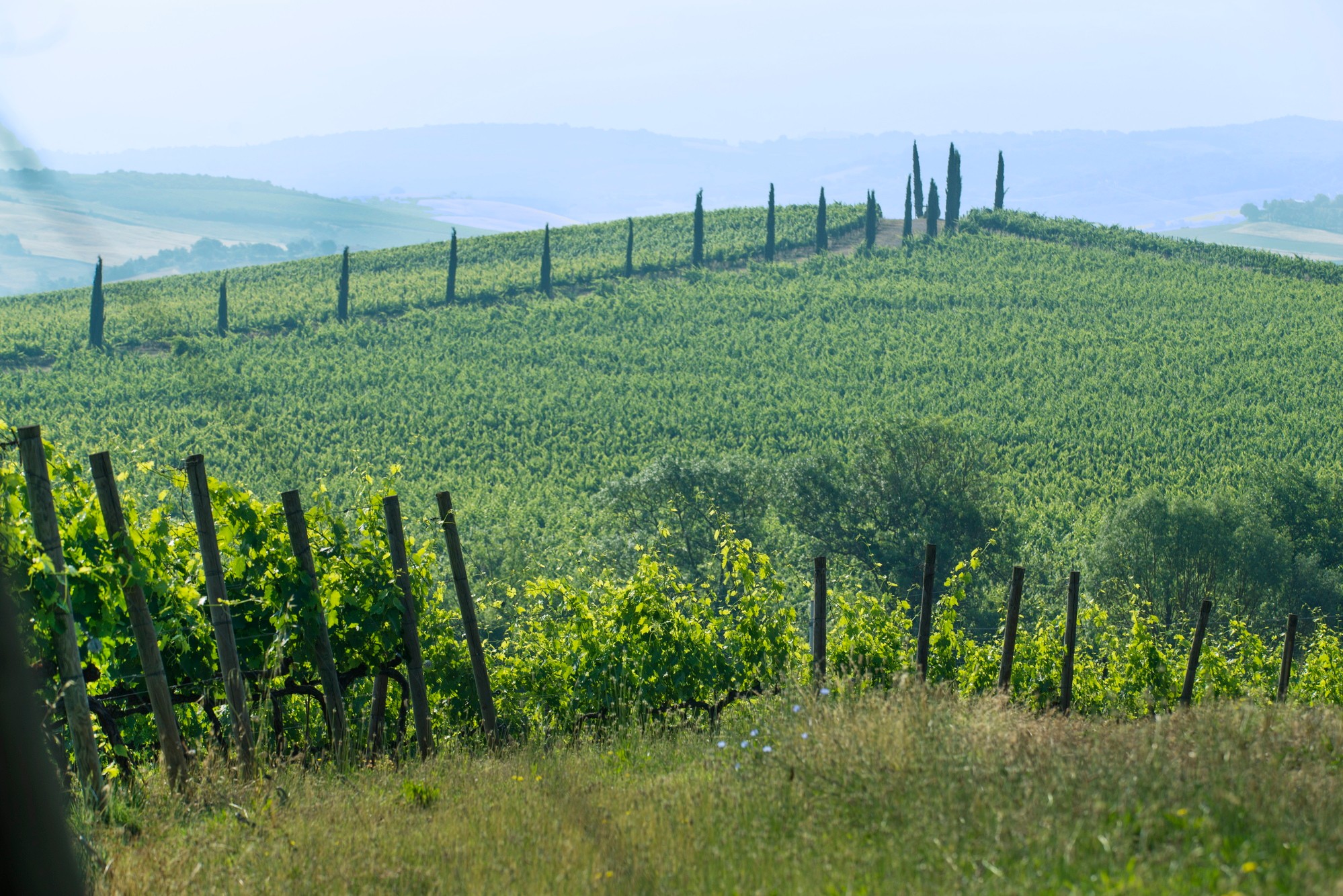 MASI | Masi Group | About us | Masi