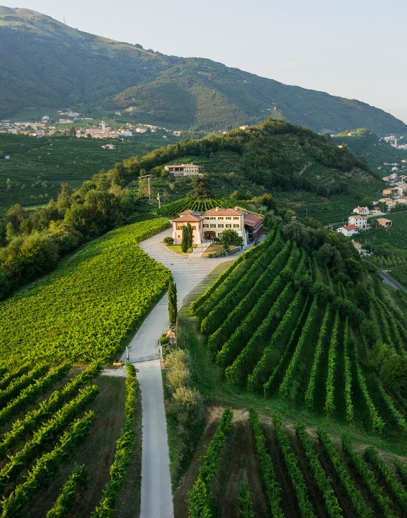 MASI | Masi Group | About us | Masi