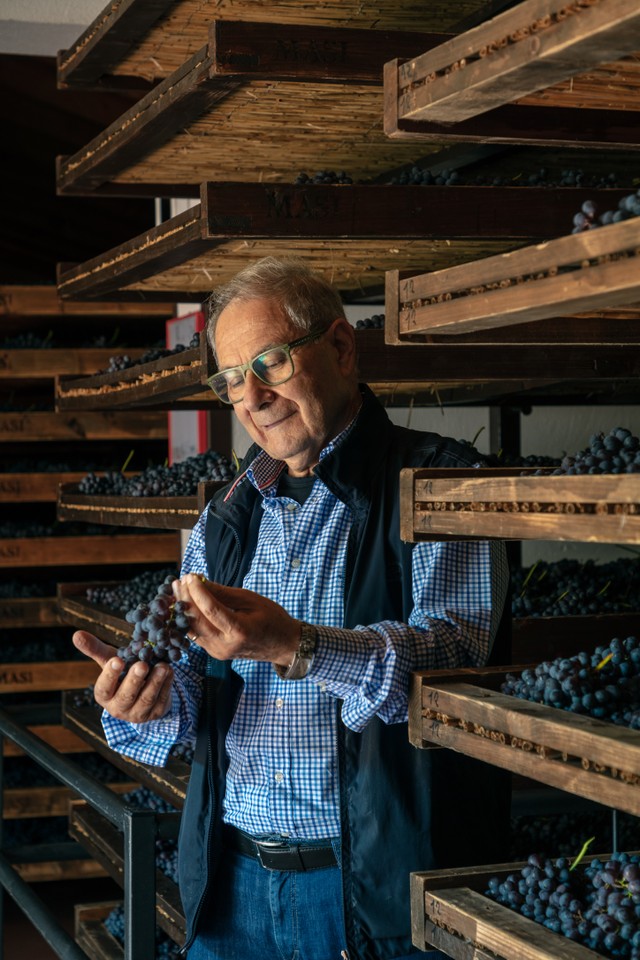 MASI | Appassimento Technique | Masi