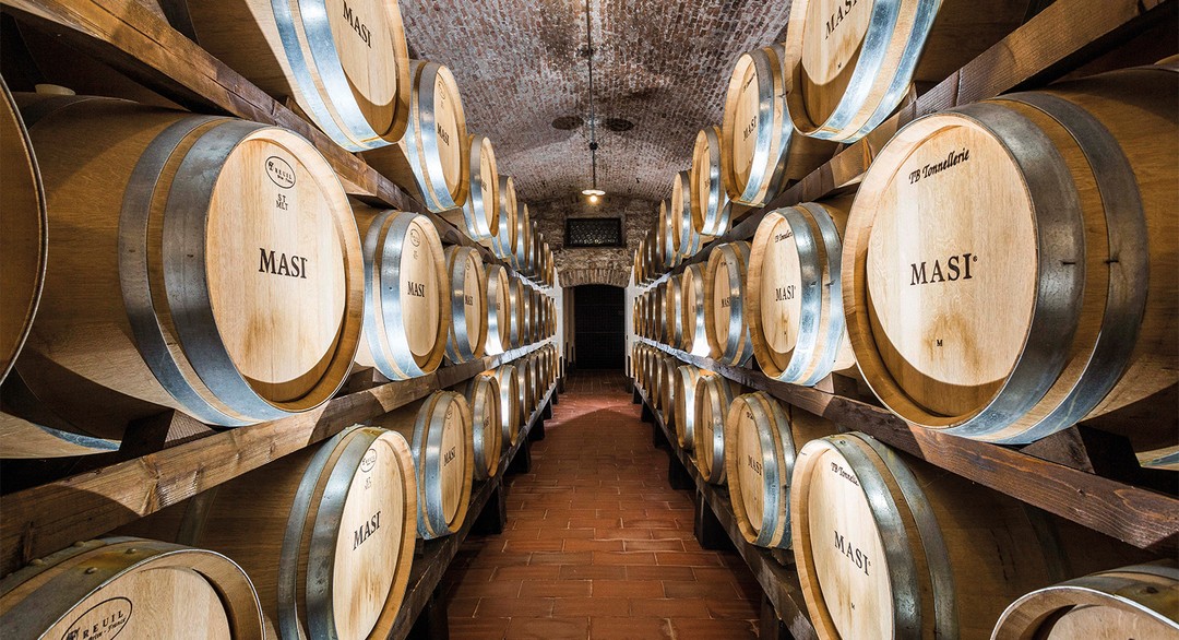 Valpolicella | Wines & Terroir | Masi